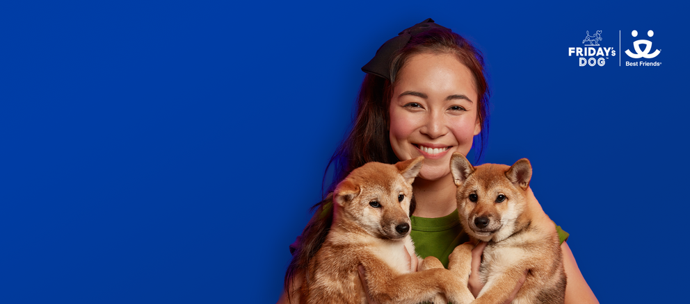 Friday's Dog - Dog Care Products and Dog Treats For Your Pup